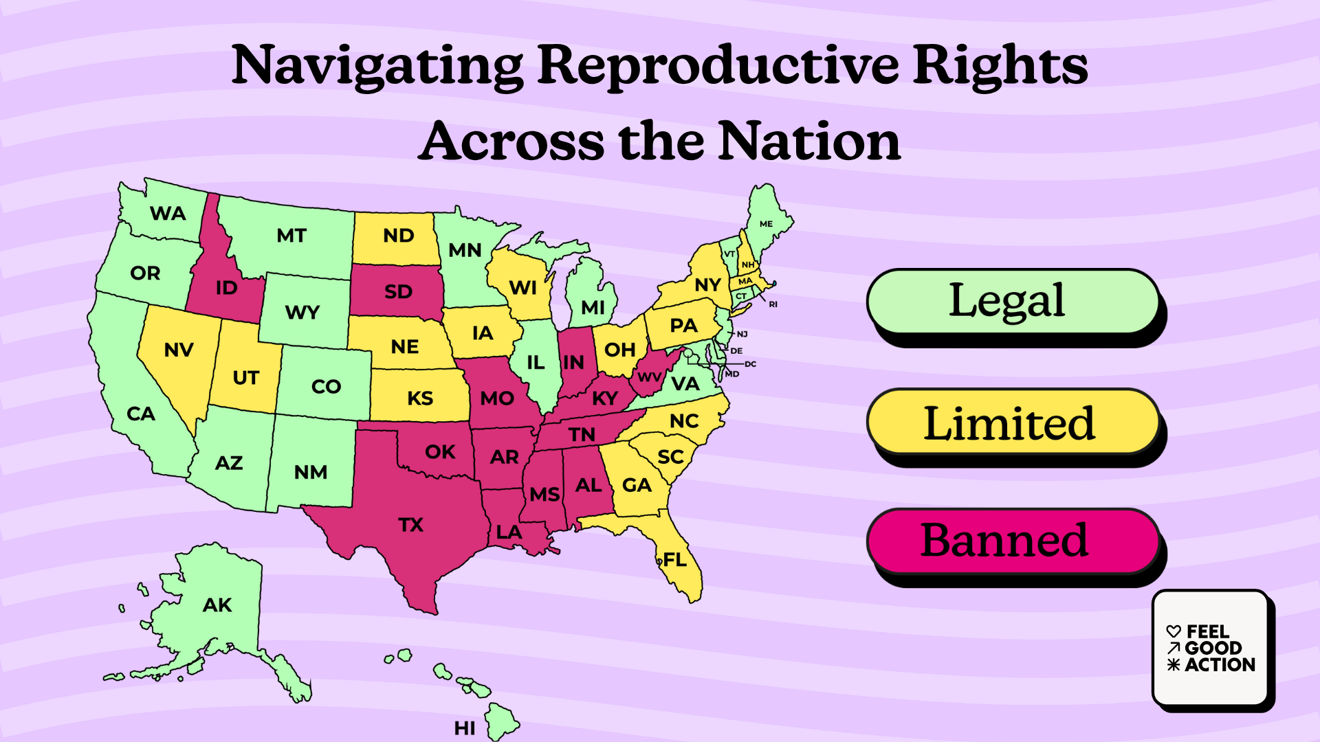 Navigating Reproductive Rights Across the Nation — Feel Good Action