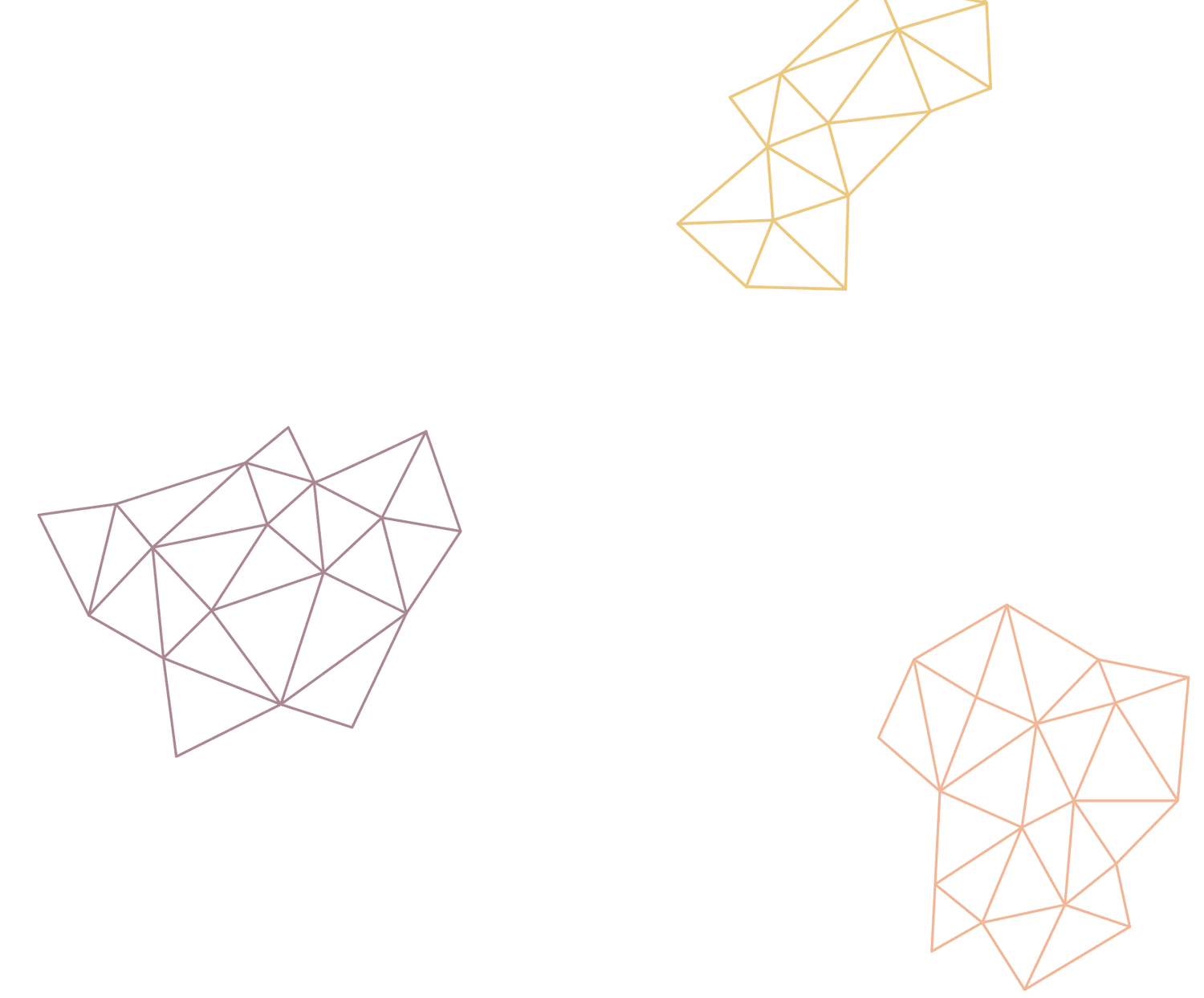 About Us — Women in Data