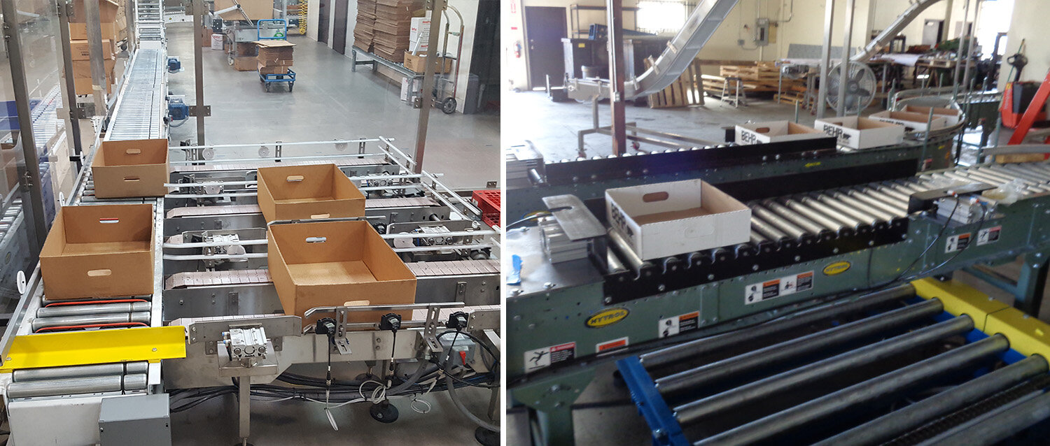 Case Conveyors California, Case Handling Conveyors, West Coast ...