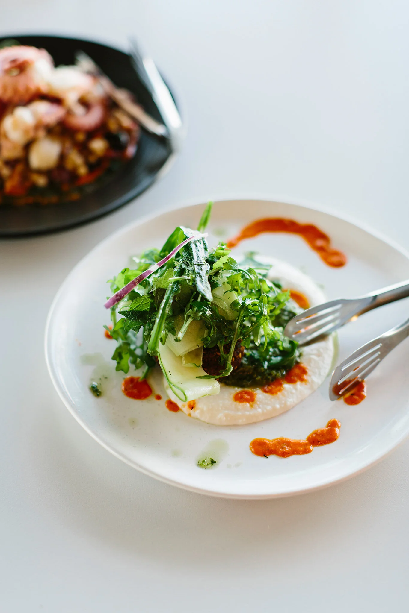 Tourism Tasmania — Moon Cheese Studio | Graphic Design & Creative ...