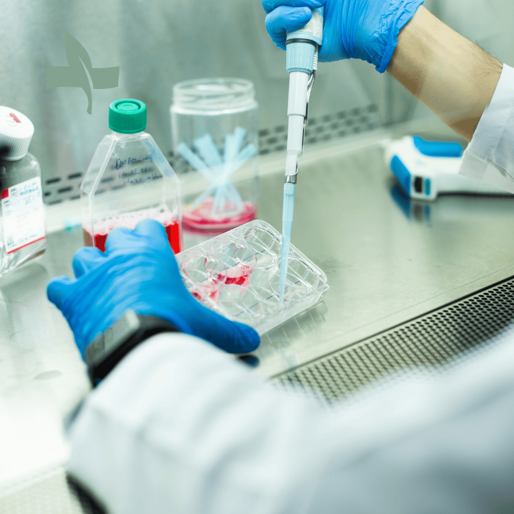 Orthobiologic Injections & Stem Cell Therapy — SageMED