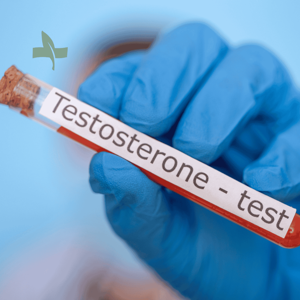 Understanding Testosterone Levels & Test Results — SageMED