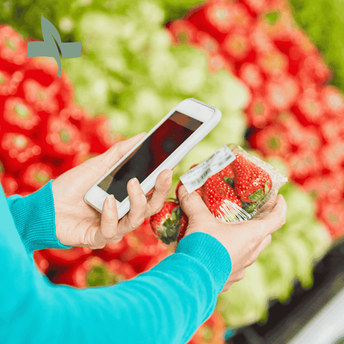 15 Best Wellness Apps to Transform Your Health in 2025 — SageMED