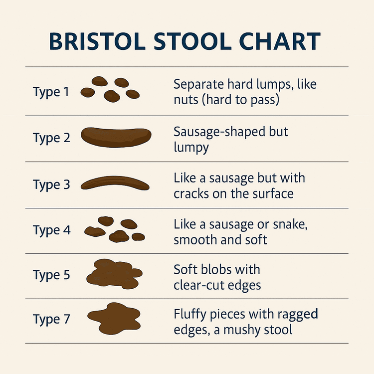 What Your Poop Says About Your Health — SageMED