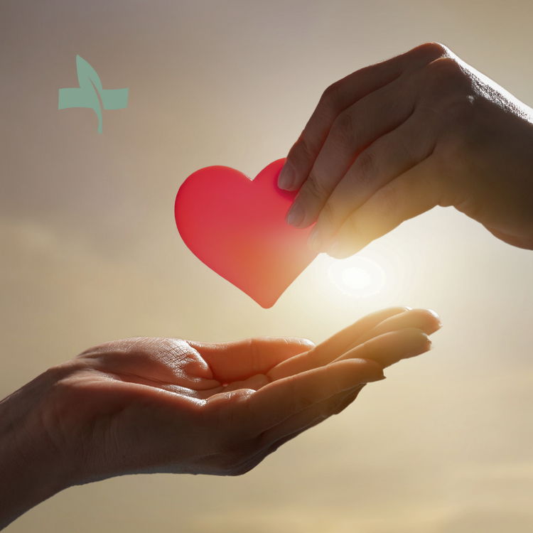 The Science of Love: How It Shapes Your Brain & Well-Being — SageMED