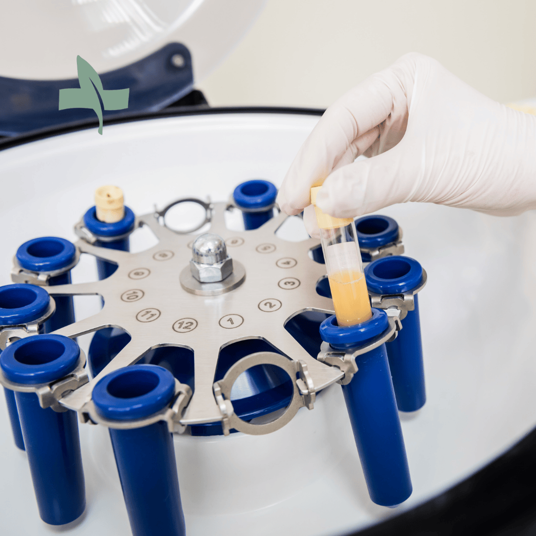 Pelvic Floor PRP | Sexual Wellness for Women — SageMED