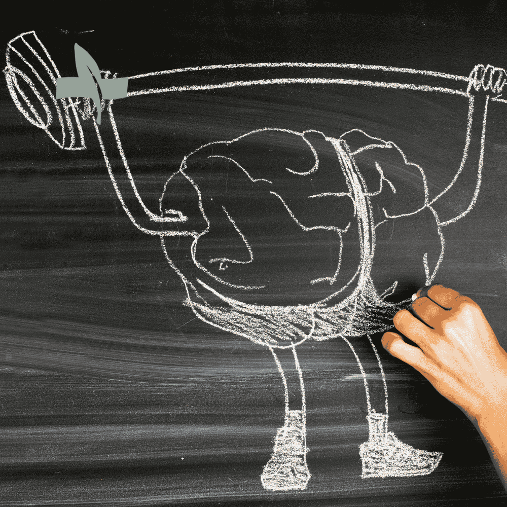 Boost Your Brain Health: Exercise and Cognitive Function — SageMED