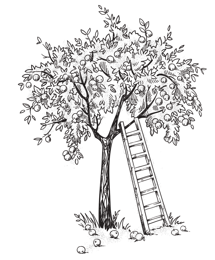 The History of Mill Haus Cider Co. — Mill Haus Cider Co