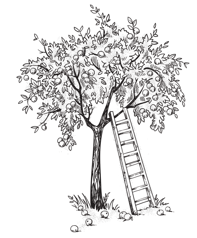 The History of Mill Haus Cider Co. — Mill Haus Cider Co