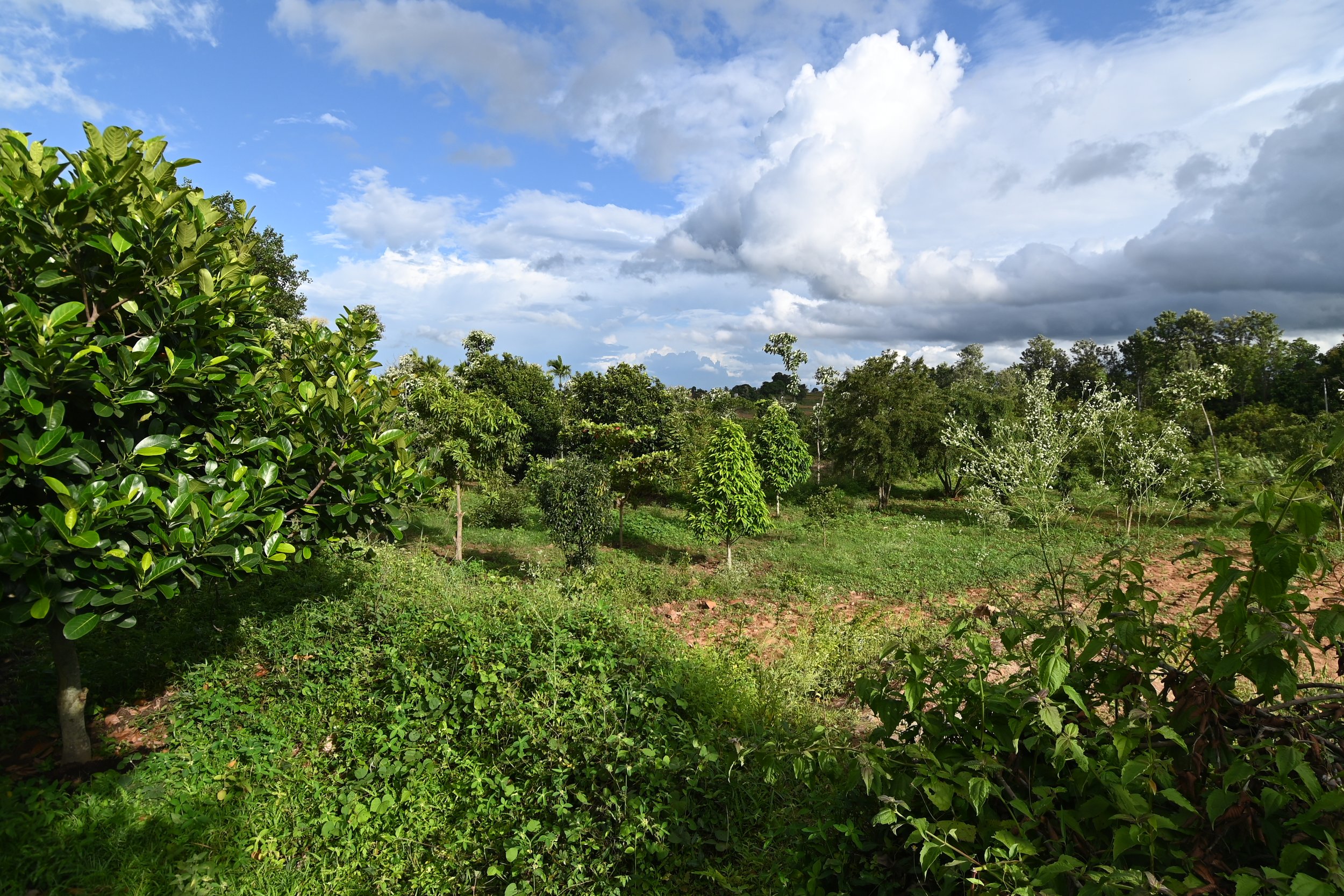 Weekend Getaways from Bangalore — Tenpy - Get back to nature