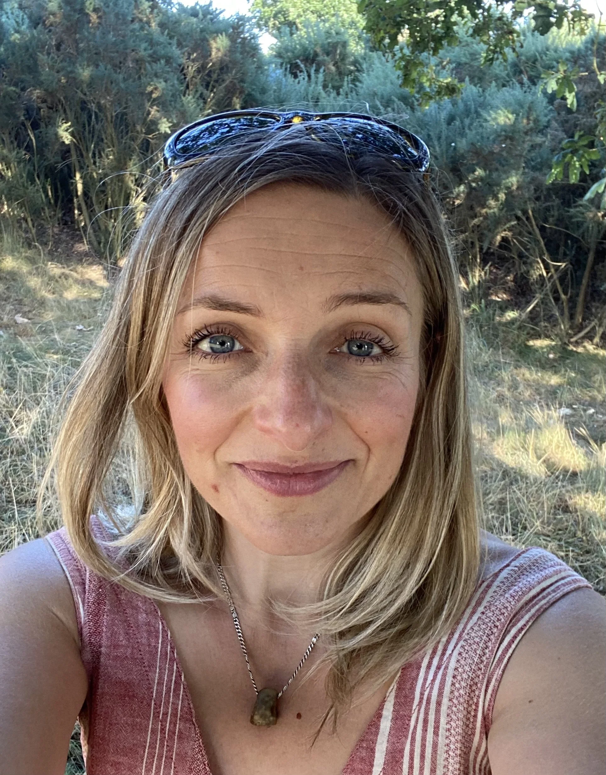 What If Birds Were Too Shy to Sing? — House of Hives