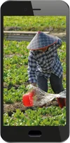 How tech is transforming agriculture in China — China Experience