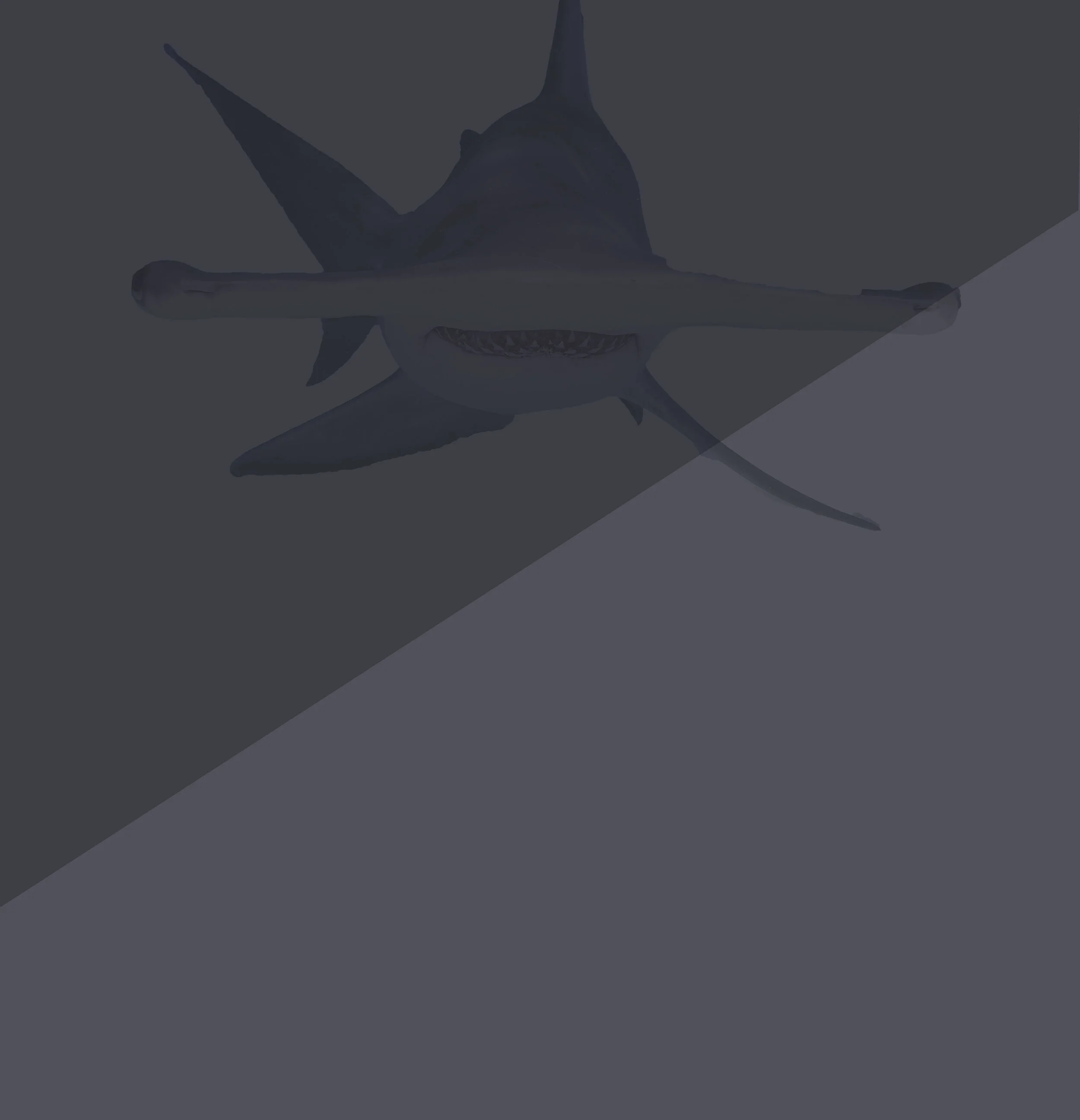 NODAR - 3D Vision for Autonomous Vehicles