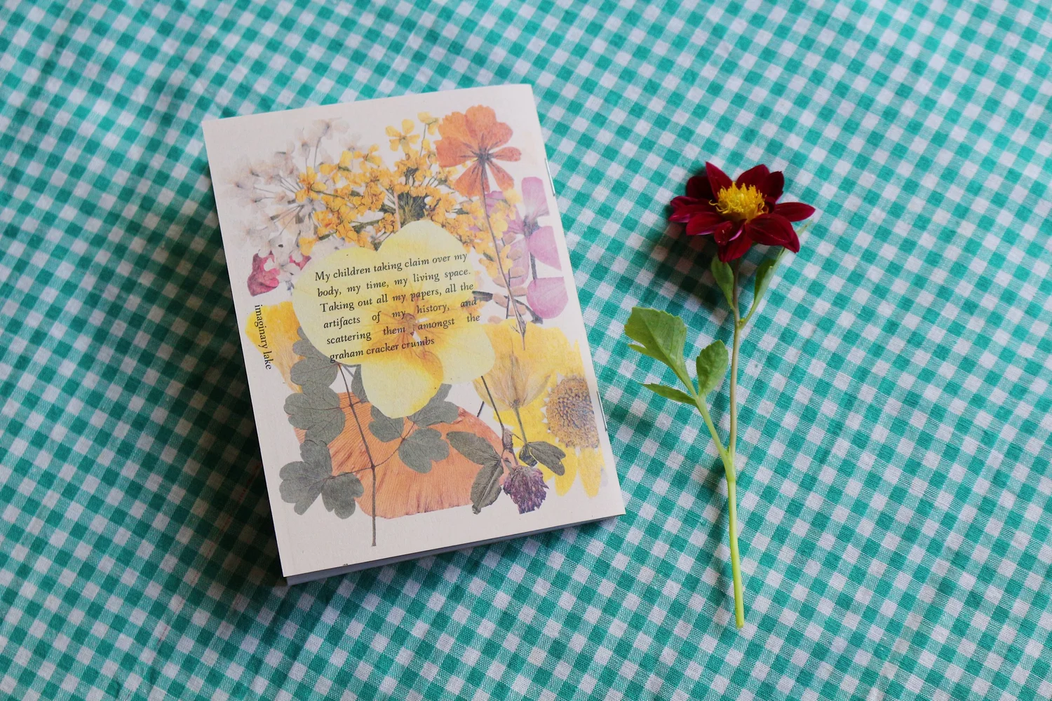 Matrescence Reading List -- Print Zine — amy bornman