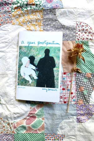Matrescence Reading List -- Print Zine — amy bornman