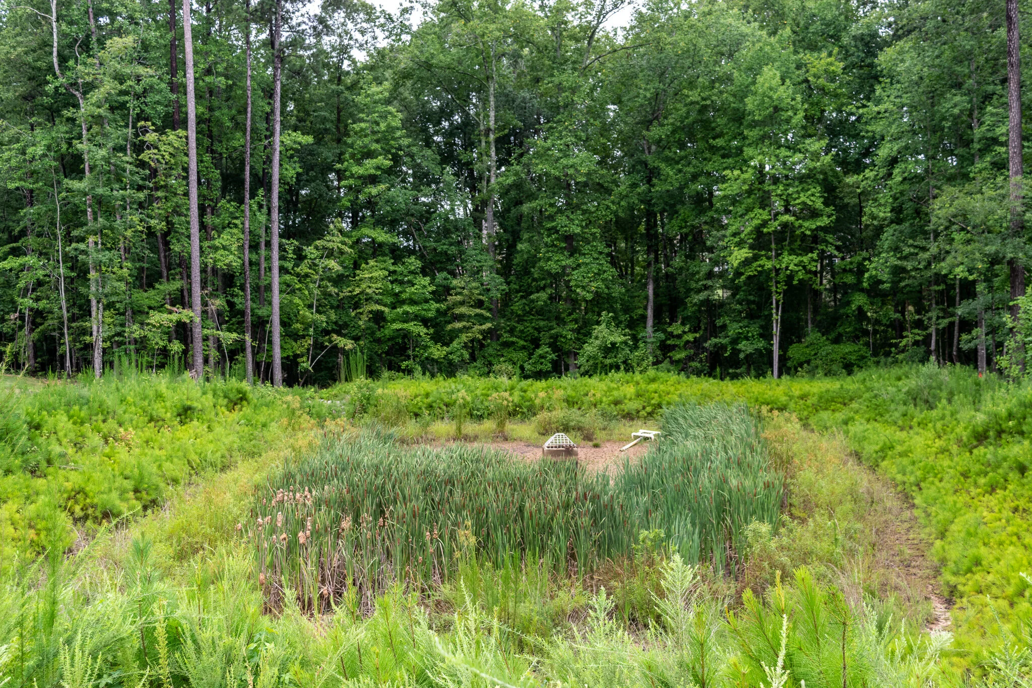 Stormwater Conversion: Basin to Stormwater Control Measure — Dragonfly ...