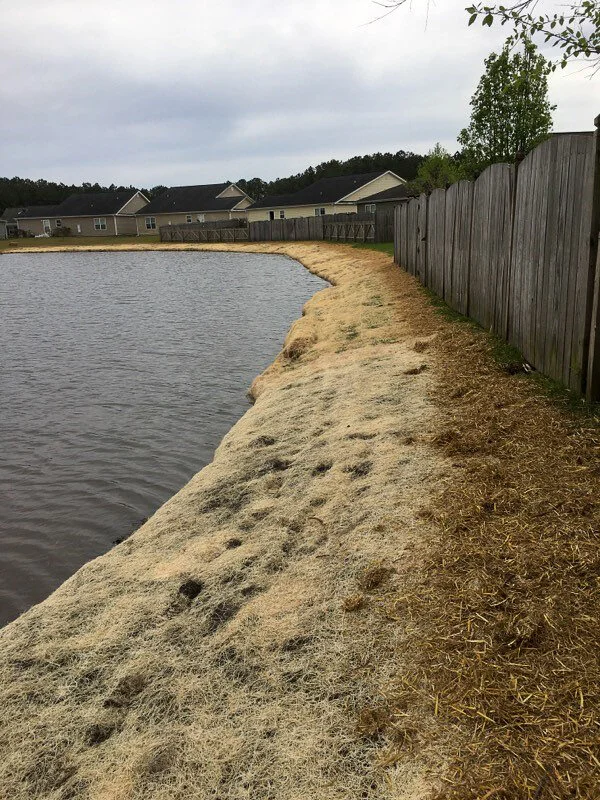 Waterfowl Pond Damage: Avoiding Damage and Costly Repairs — Dragonfly ...