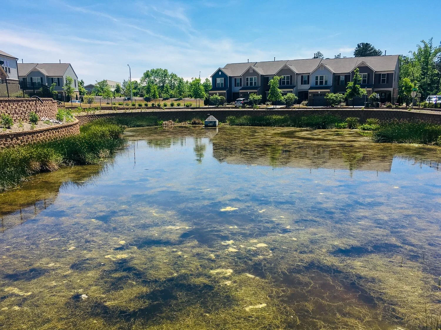 Pond & Stormwater Management Contractor Experts — Dragonfly Pond Works