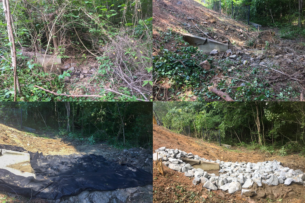 Charlotte Overgrown Stormwater Dry Pond Repair — Dragonfly Pond Works