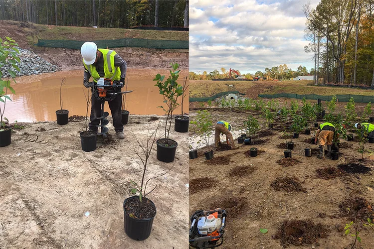 Durham Stormwater Wetland: 11,000 Aquatic Plants Installed by Team ...