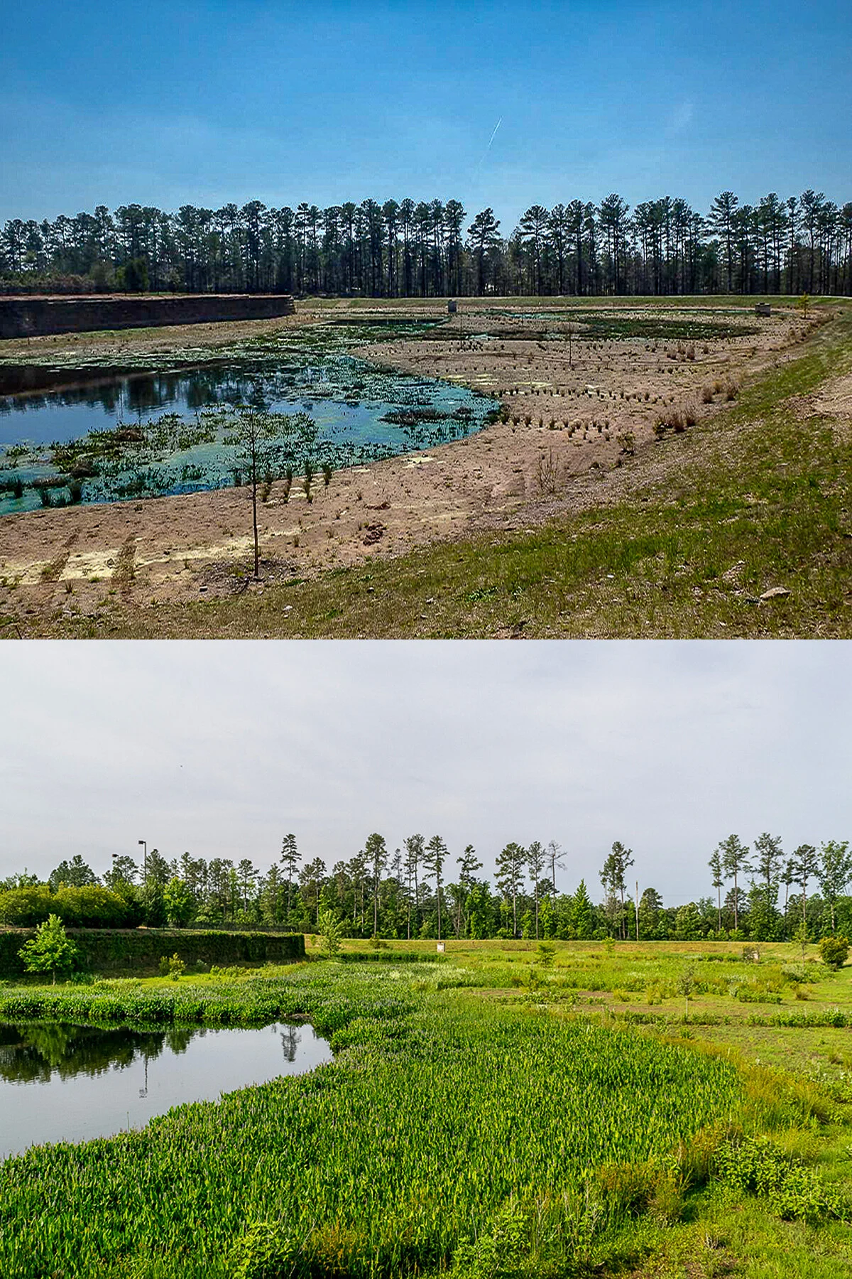 Stormwater Management Charlotte — Dragonfly Pond Works