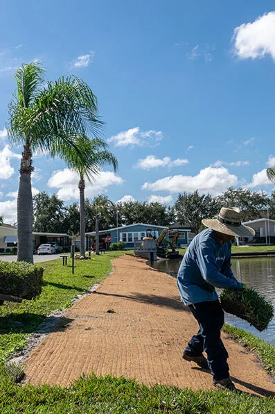 Florida Shoreline Restoration: Low-Impact, Long-Lasting — Dragonfly ...