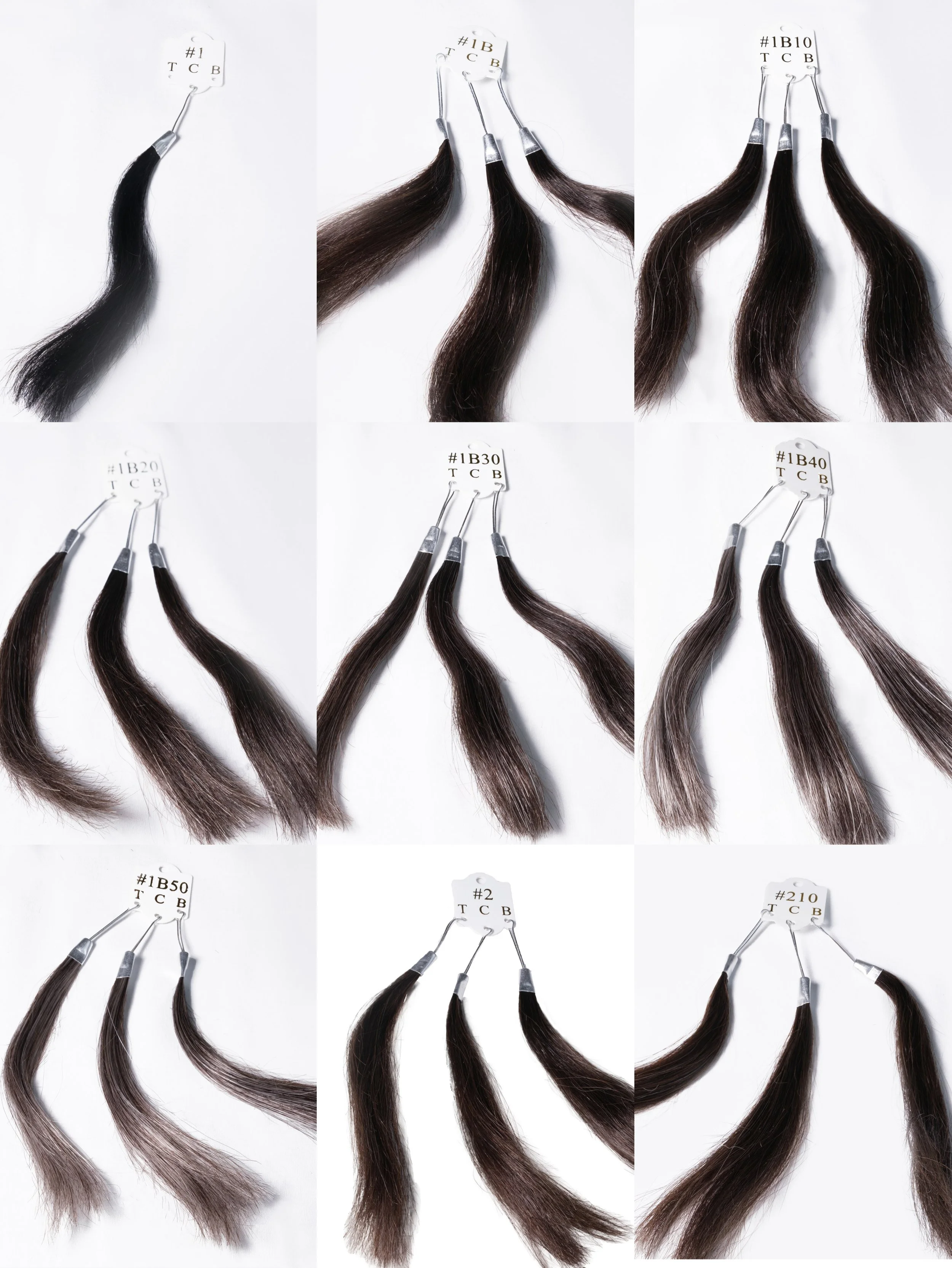 Begin with Hair Inc.