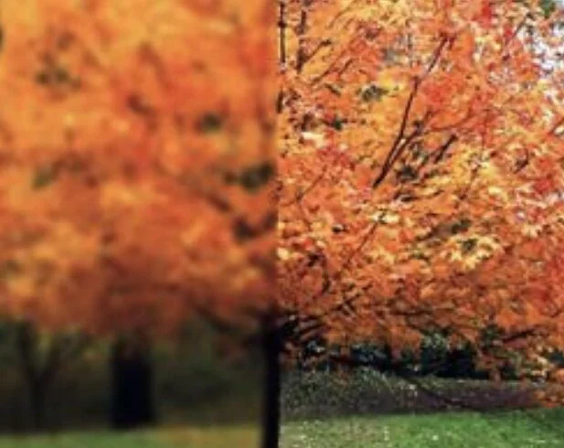 Cataract Vision Simulation