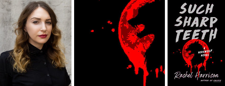 Rachel Harrison: ‘Such Sharp Teeth’—a darkly comedic love story ...