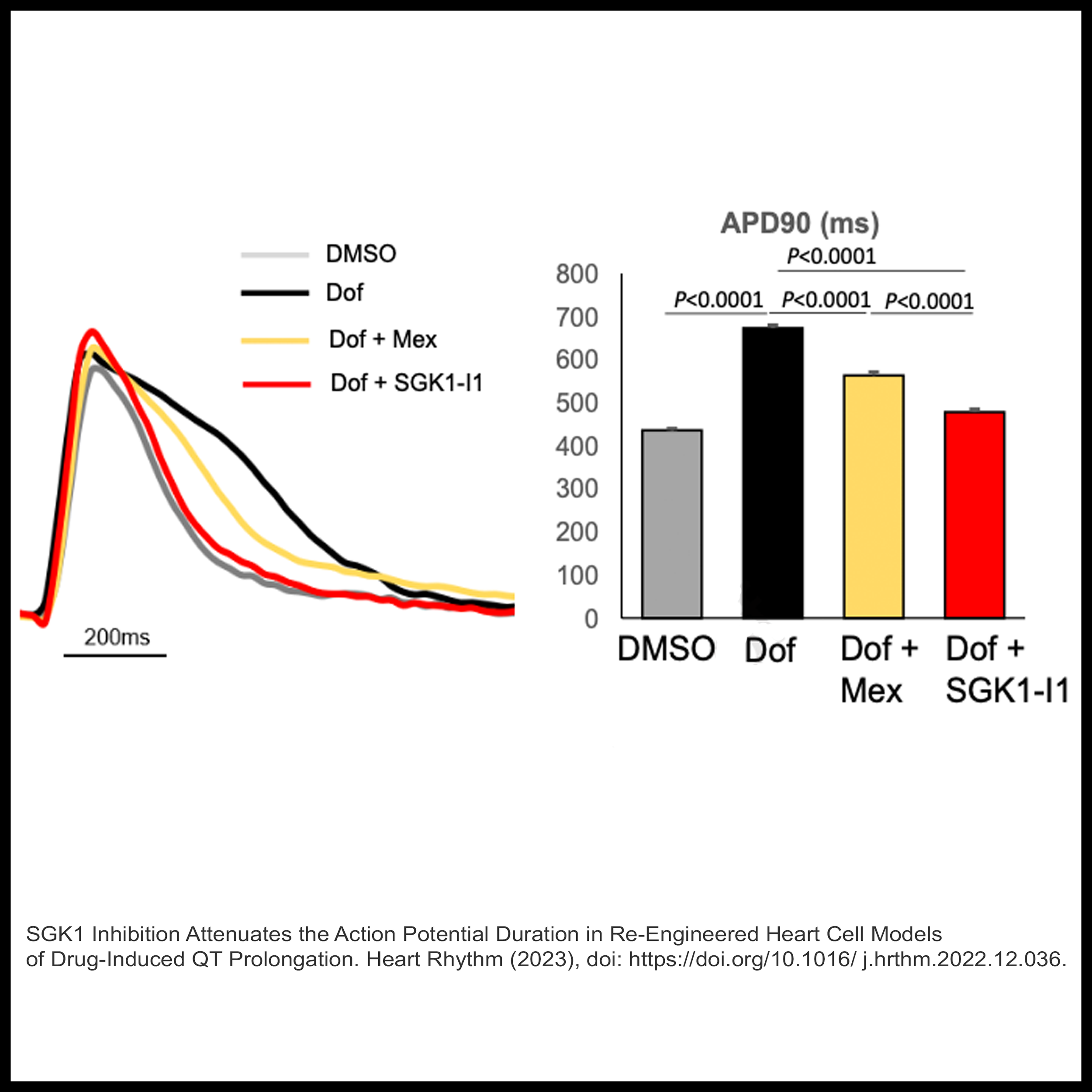 Key Publications — Thryv Therapeutics