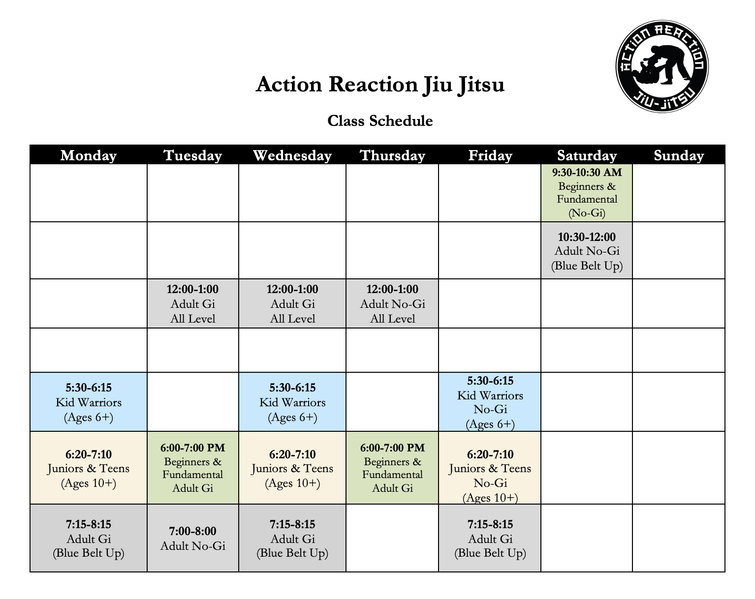 BJJ Schedule — Action Reaction Jiu-Jitsu | Richmond, VA