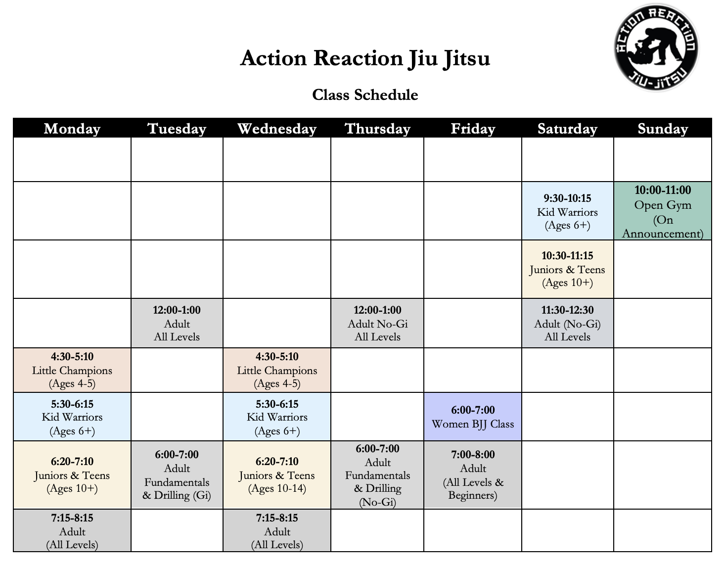 BJJ Schedule — Action Reaction Jiu-Jitsu | Richmond, VA
