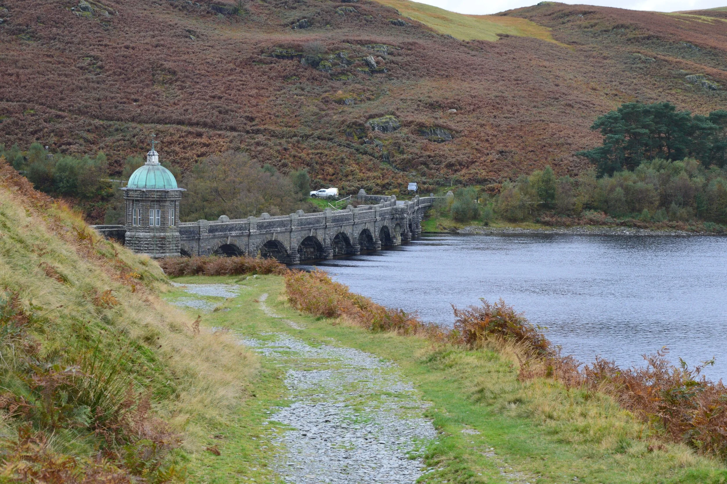 Gallery 1 — The Owls