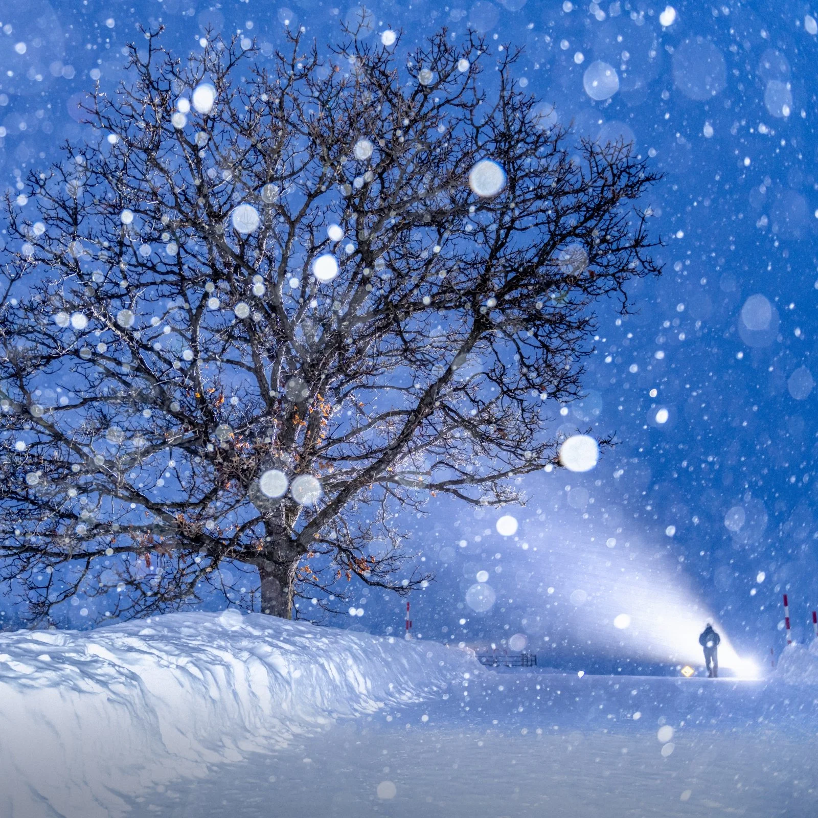 Washington Printmakers Gallery