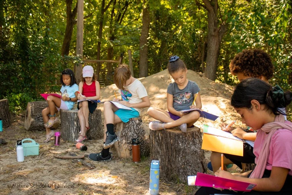 Nature School of Fairview