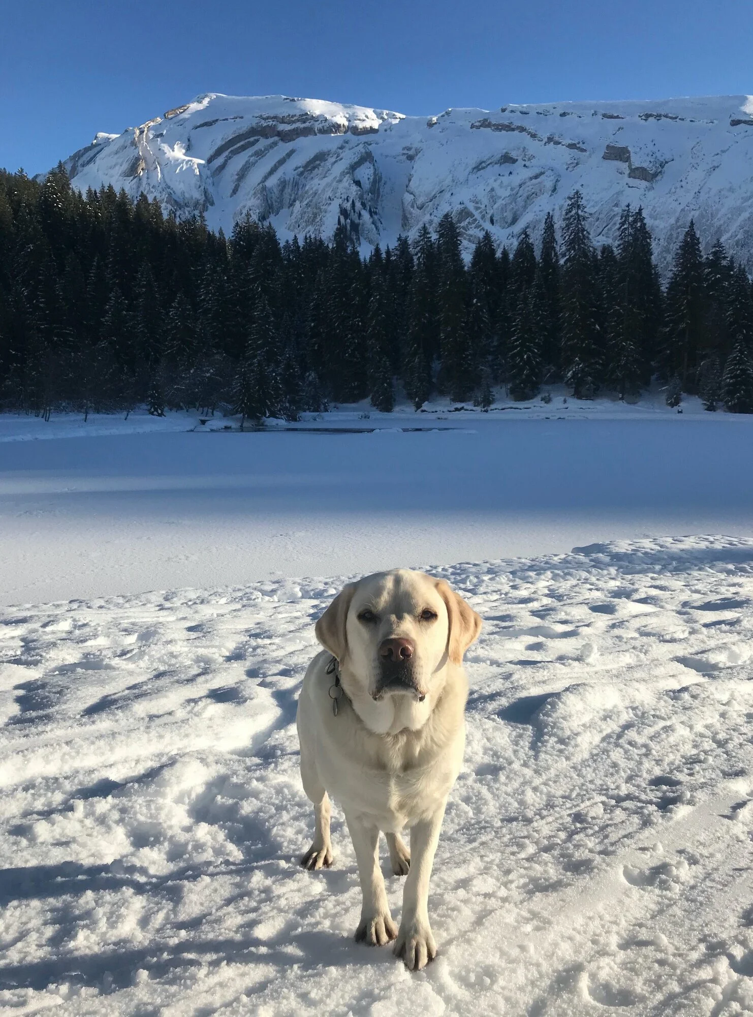 about — Alexandra Woods