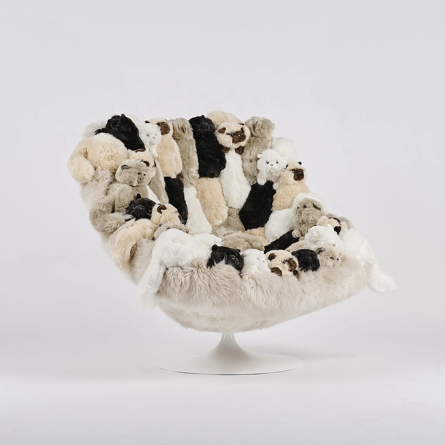 AP Collection — Belgian Furniture