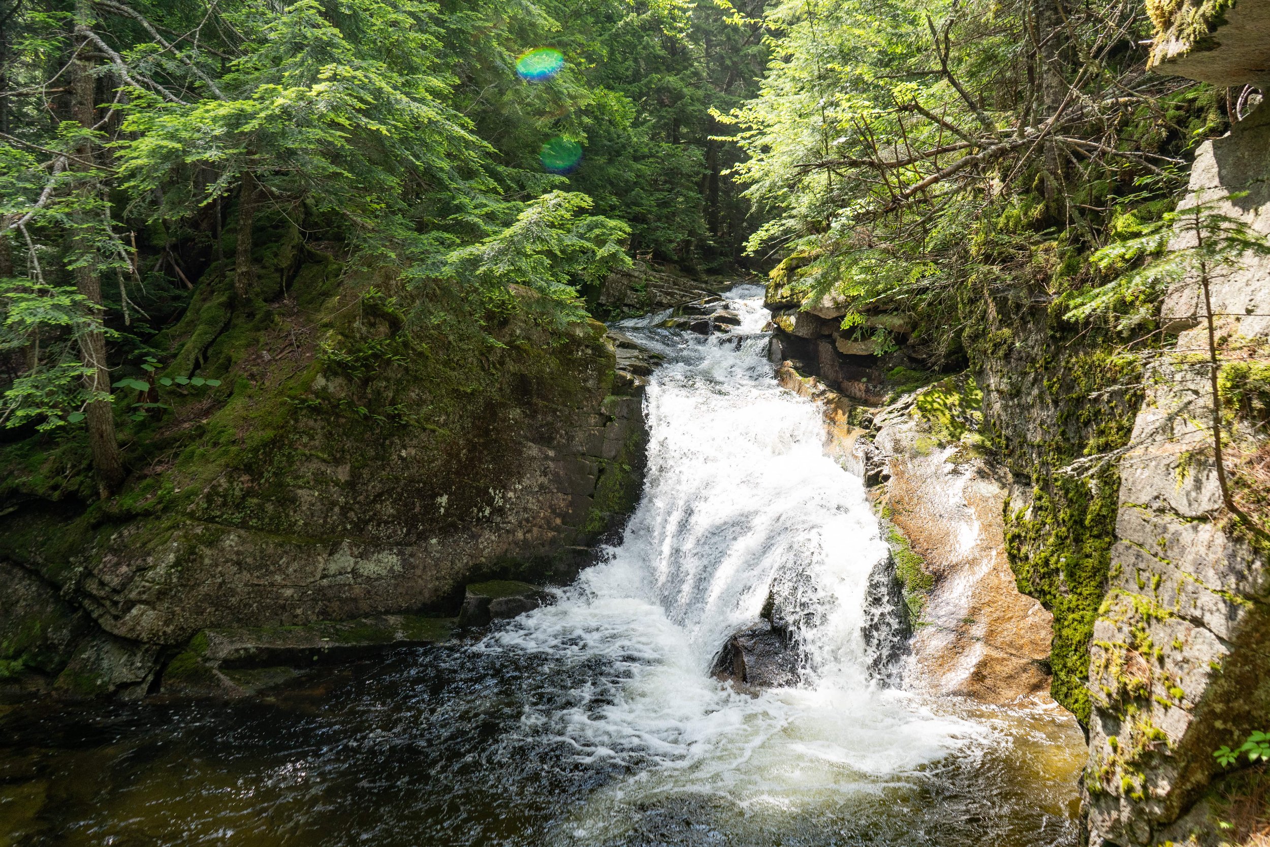 Best Hikes For Kids — Waterville Valley Resort Association