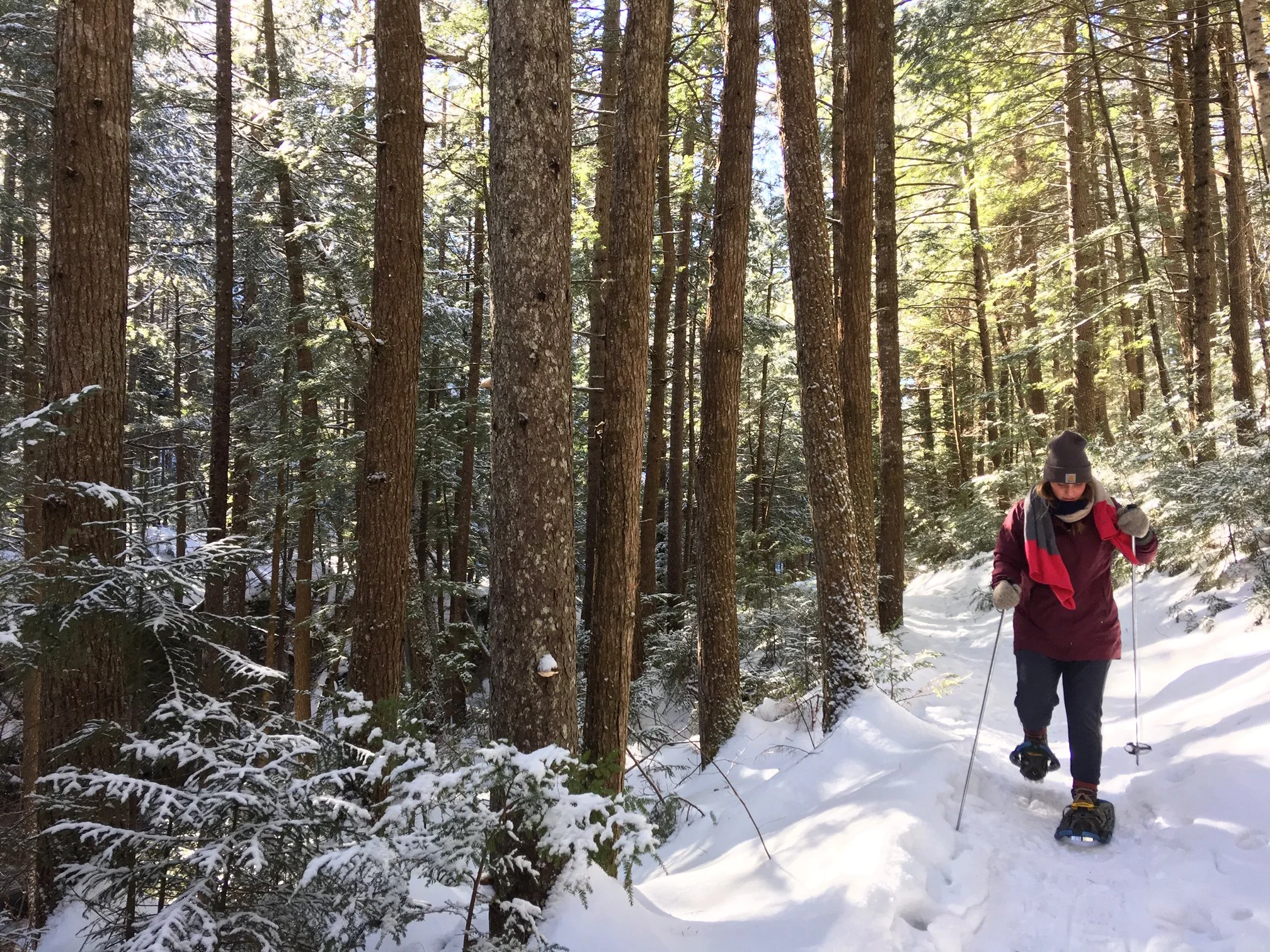 Non-Skiing Activities in Waterville Valley — Waterville Valley Resort ...