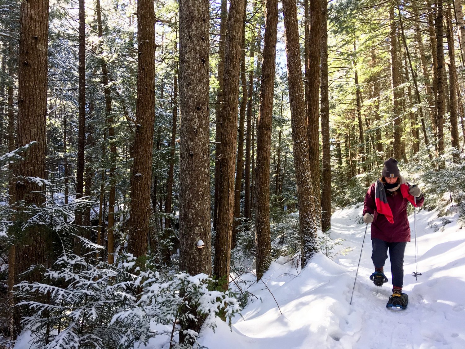Winter — Waterville Valley Resort Association