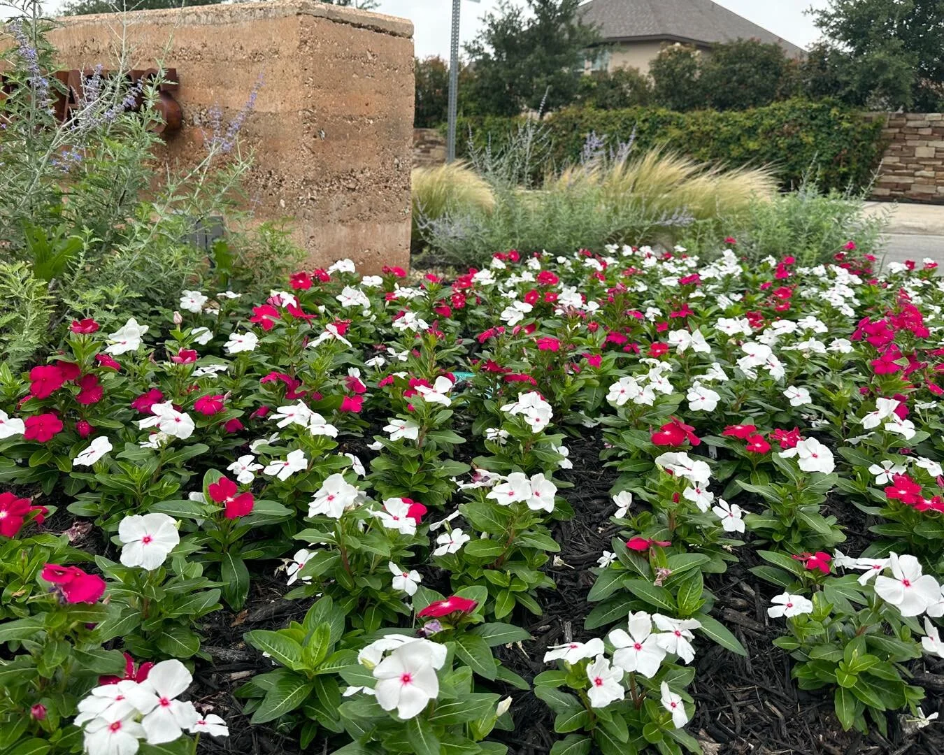 Summitlandscapedesign