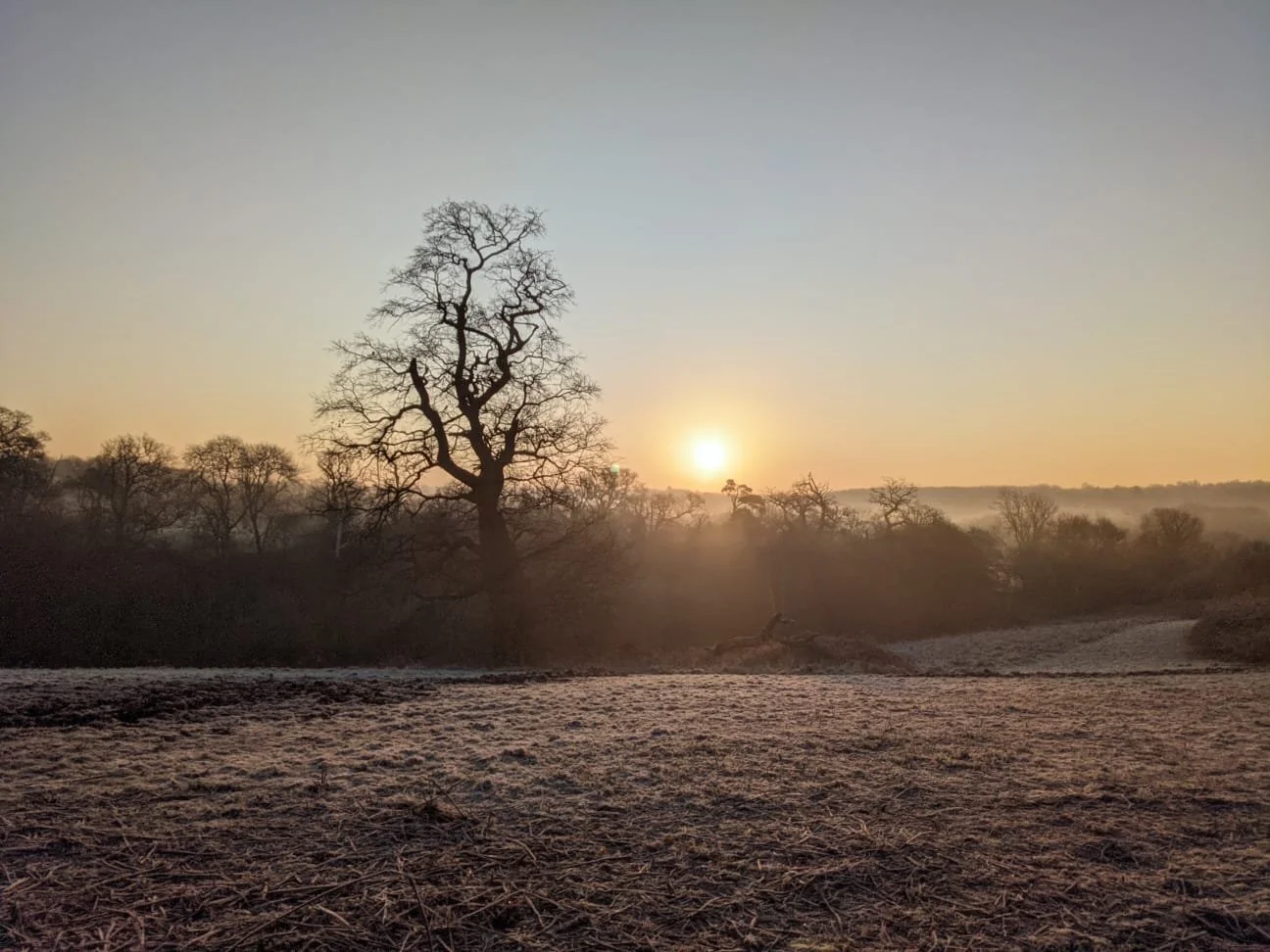 Penny Brohn UK is gifted tranquil land alongside national centre in ...