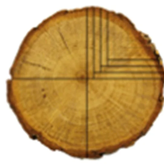 Quarter Sawn Oak - She’s Not Just a Pretty Face — Chelsea Plank Flooring