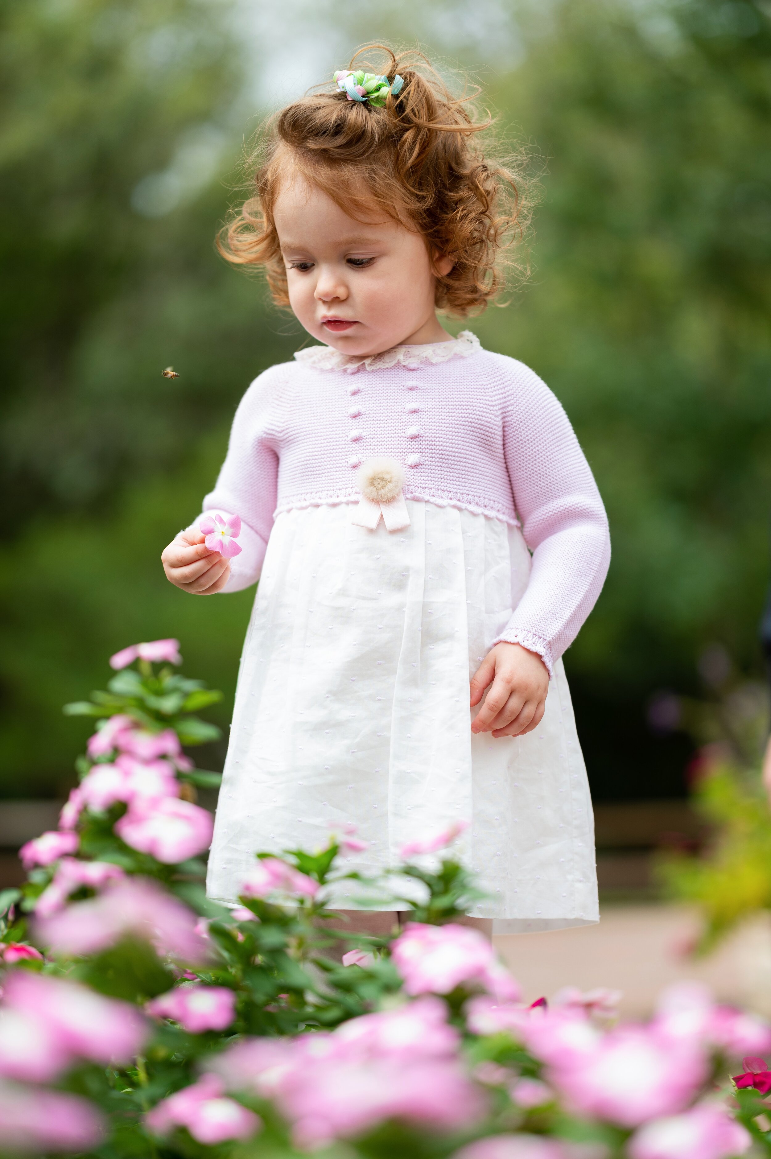 Bryce Reed Photography