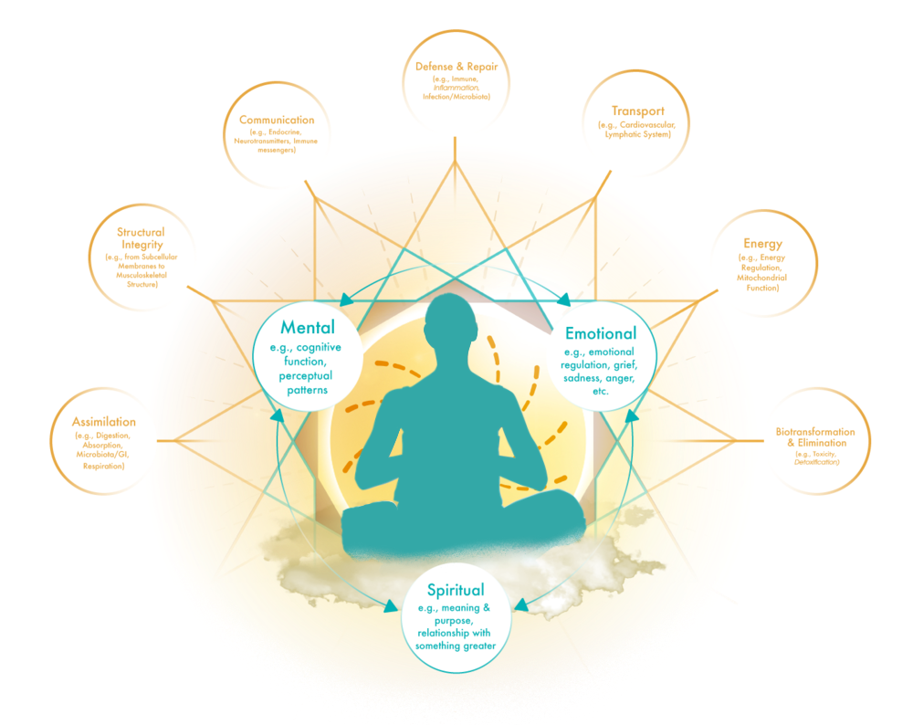 General 1 — Rasayana Wellness