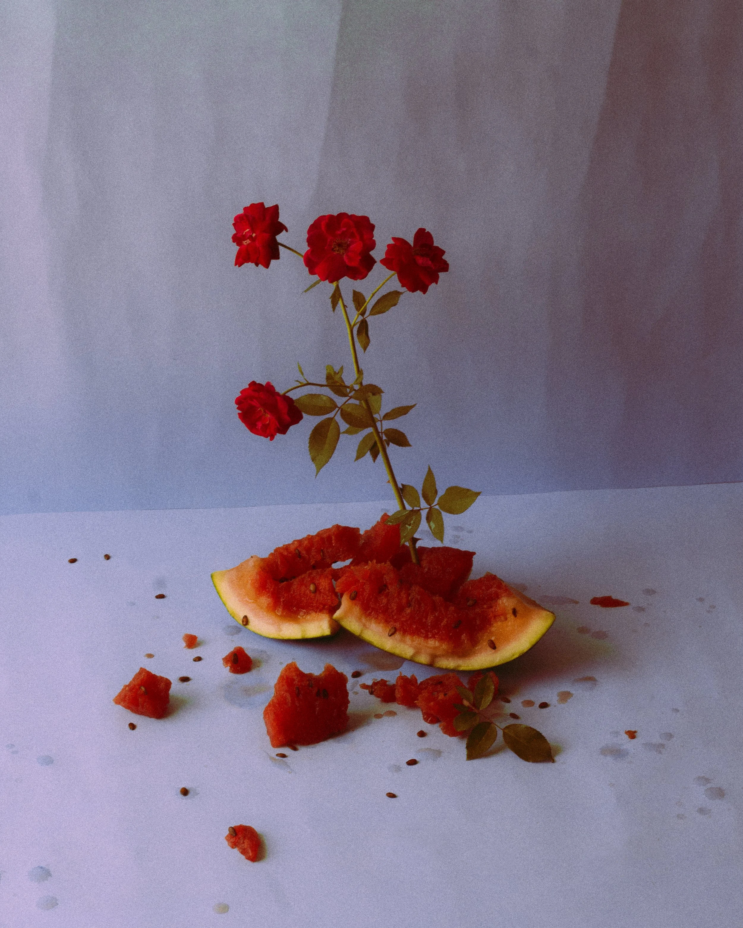 Imdad Barbhuyan — Sauce