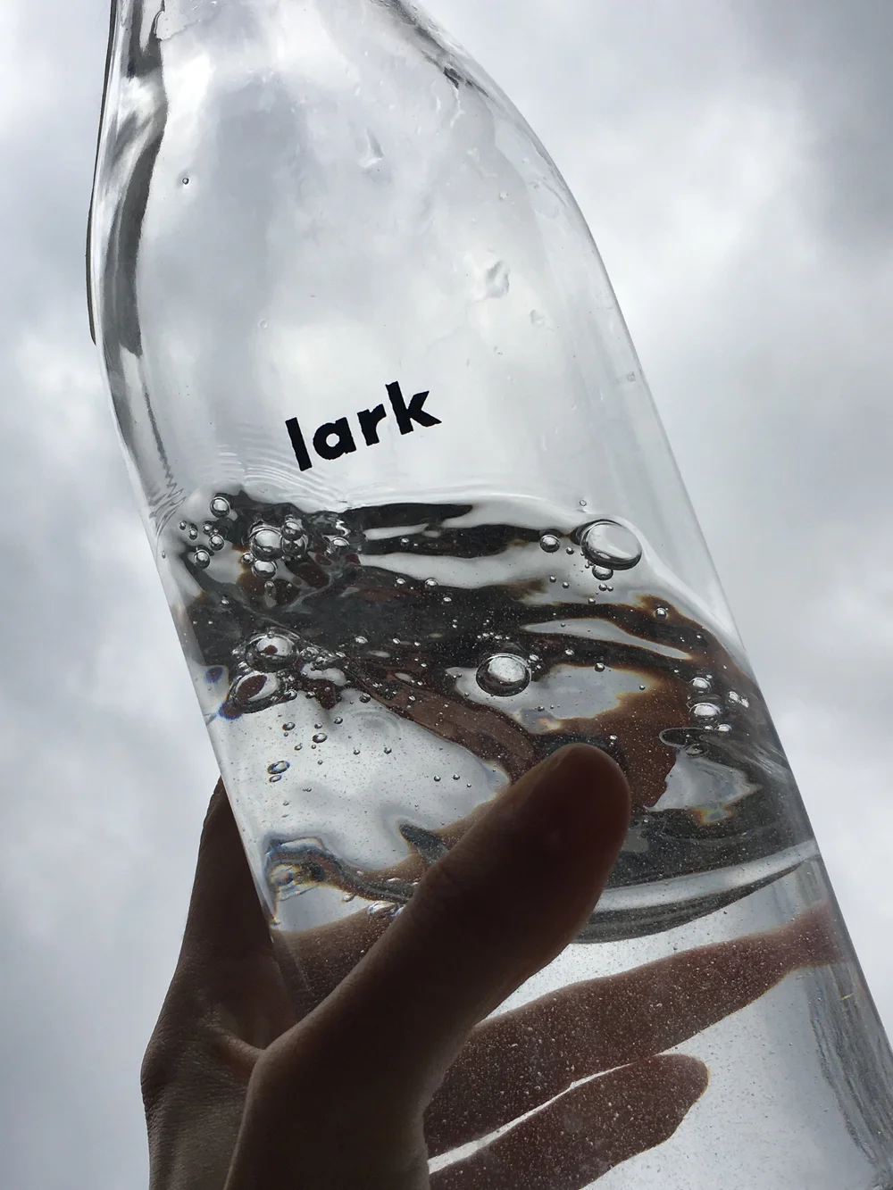 lark