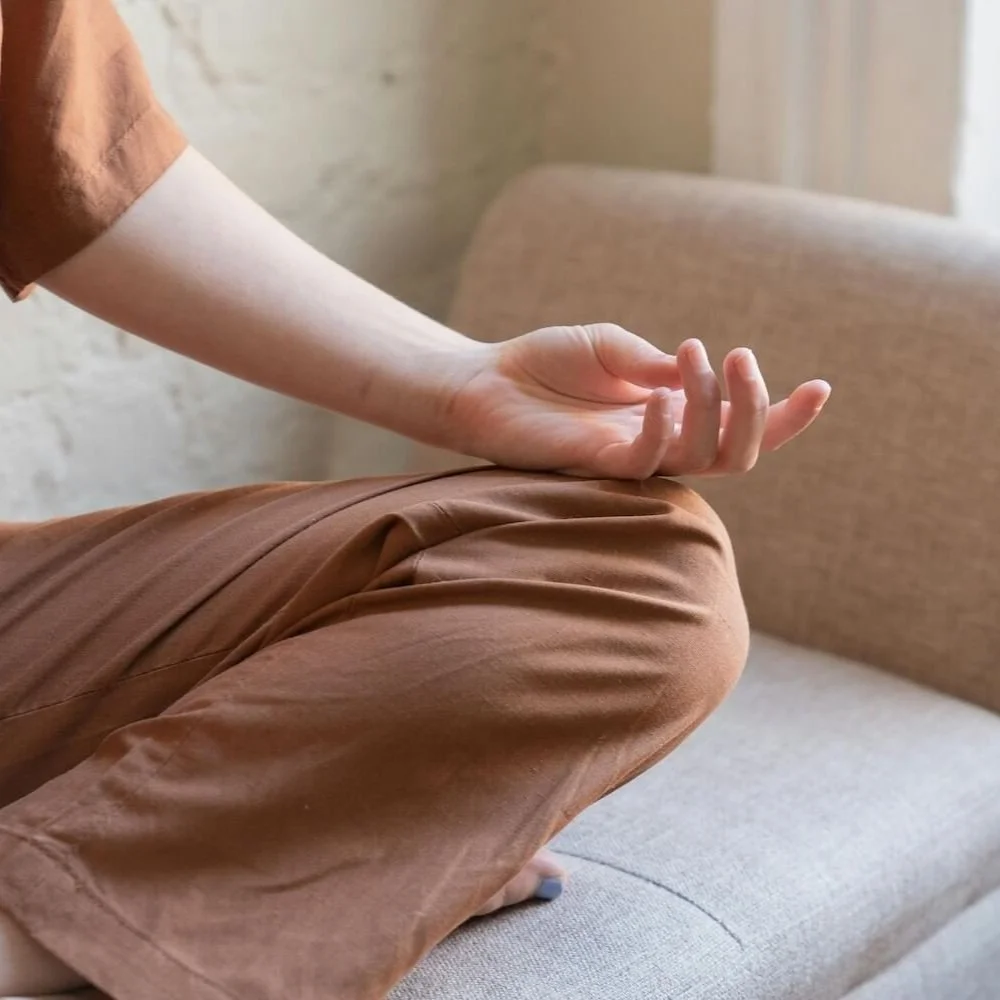 Somatic Therapy for Chronic Pain & Stress Relief | Mind Body Integration