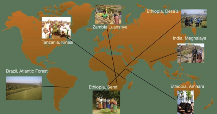 Restore Degraded Land — Green Means Cool