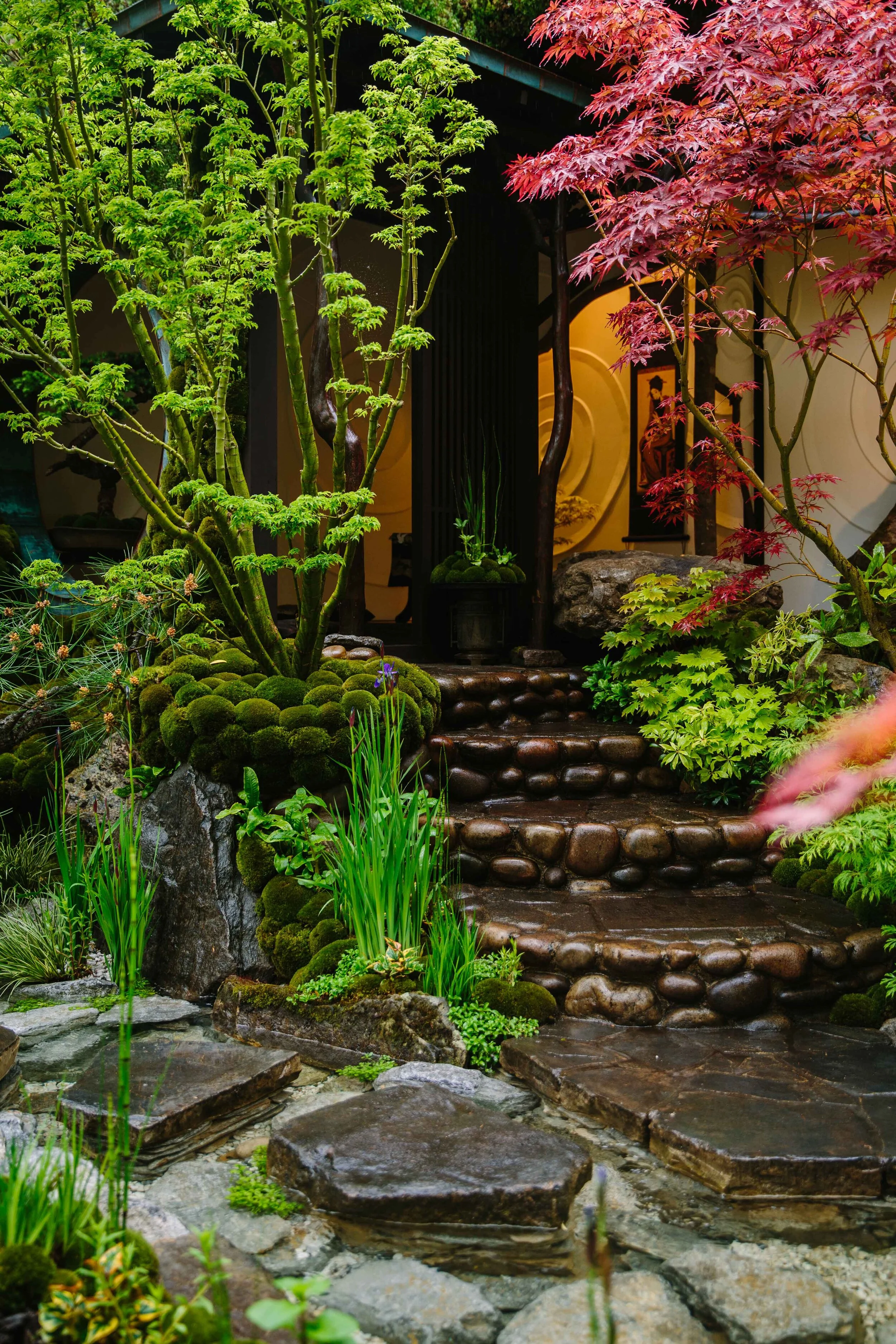 RHS Chelsea - ‘Edo Garden’ — The Garden Doctors